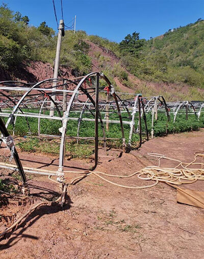 Shellac, Lac, Aleuritic Acid, Bleached Dewaxed Shellac, Refined Shellac ...